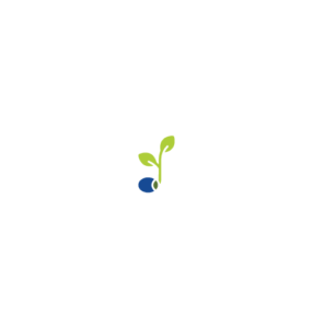 Curriculum - JS Global School | A Cambridge International